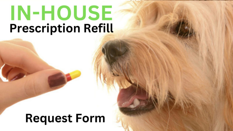 Online Pharmacy & In House Refills - arcahkissimmee.com