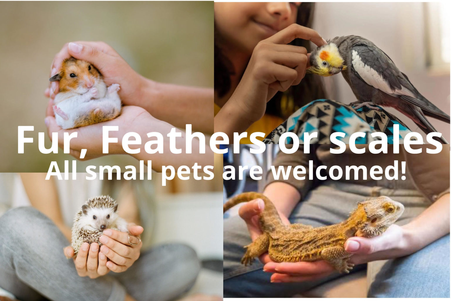 Home Page - arcahkissimmee.com